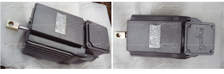 Galvi | Impro Solution